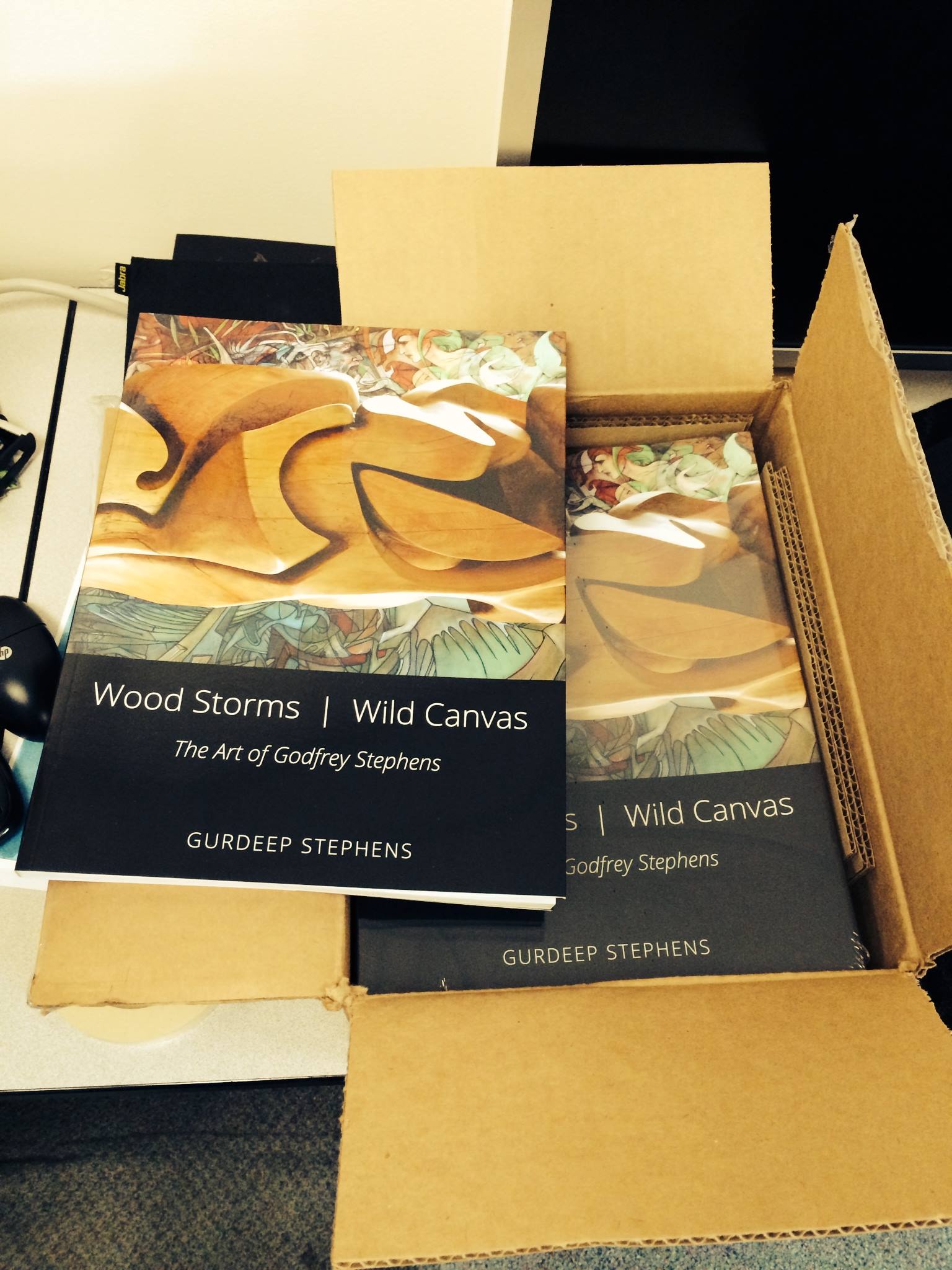 Wood Storms, Wild Canvas – The Art of Godfrey Stephens